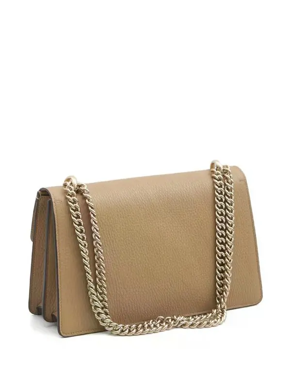 Gucci Dionysus Flap Shoulder Bag - Neutrals