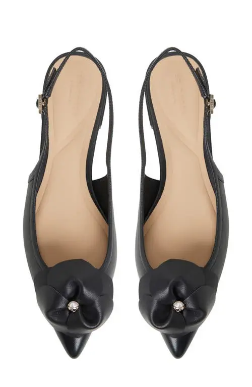 Ted Baker London Lili Rose Pointed Toe Slingback Flat - Black