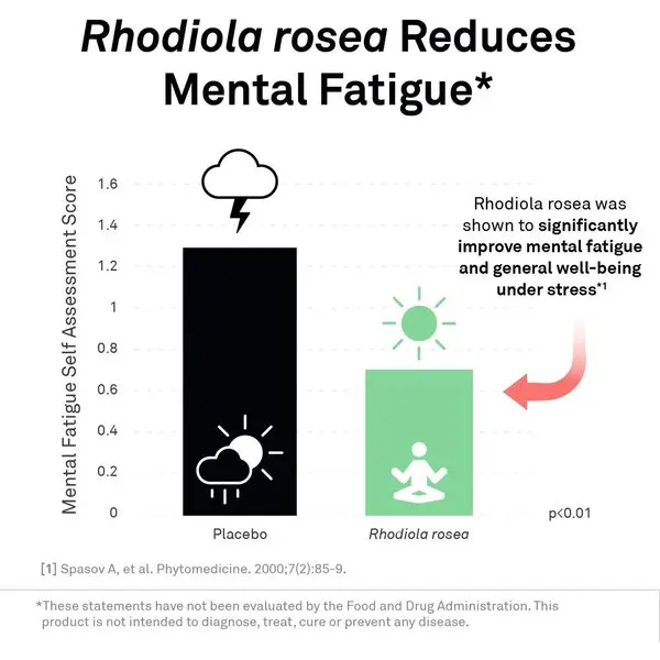 NEUROSCIENCE Adrecor With Licorice Root 90 Capsules