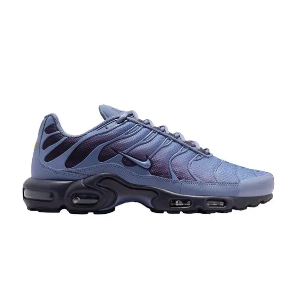 Nike Air Max Plus Sneakers