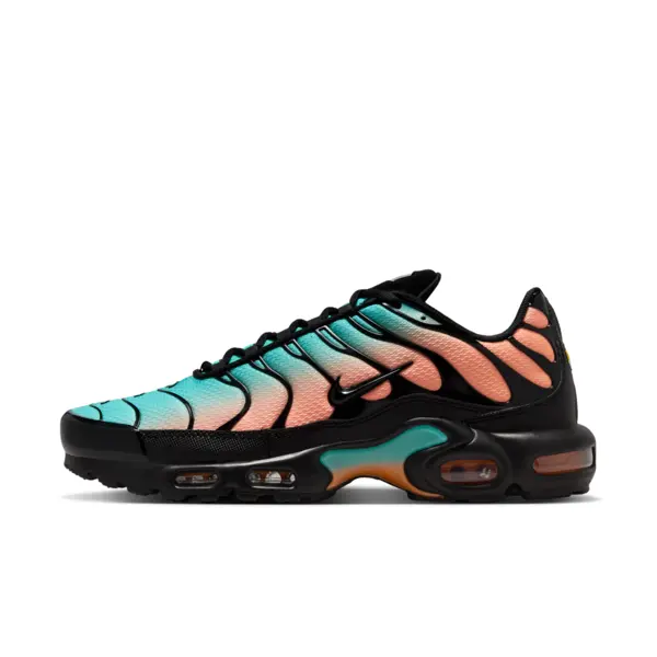 Nike Air Max Plus Sneakers