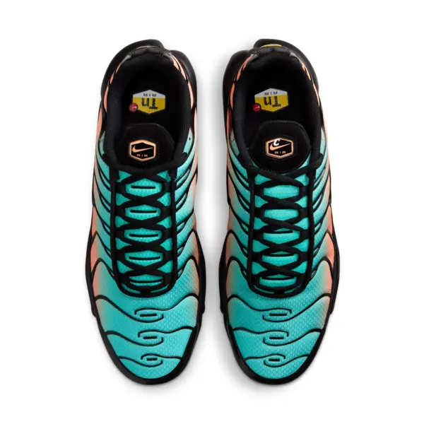 Nike Air Max Plus Sneakers
