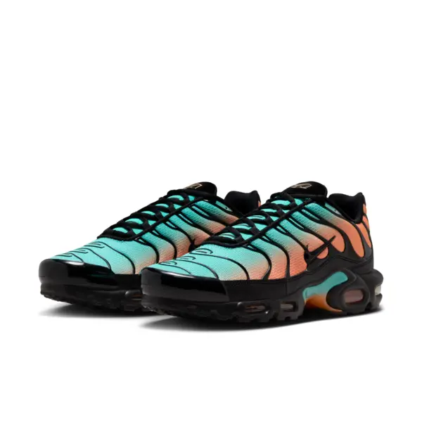 Nike Air Max Plus Sneakers