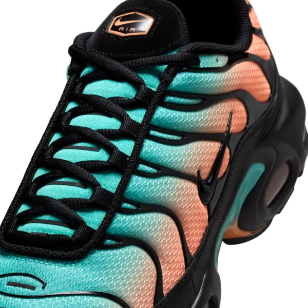 Nike Air Max Plus Sneakers
