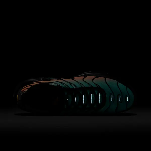 Nike Air Max Plus Sneakers