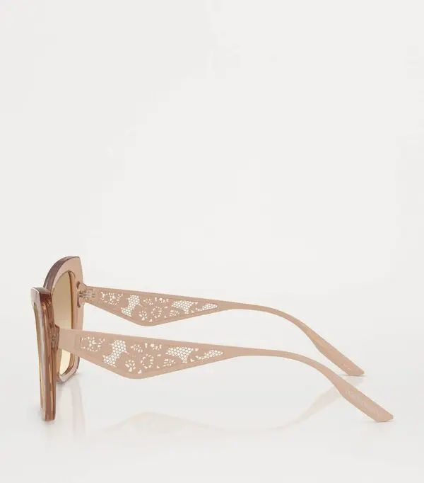 Dolce & Gabbana Acetate Sunglasses