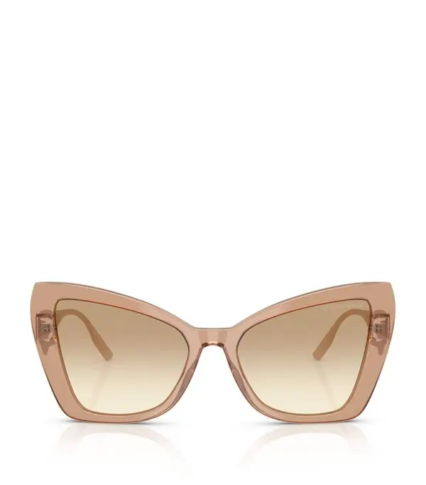 Dolce & Gabbana Acetate Sunglasses - Brown
