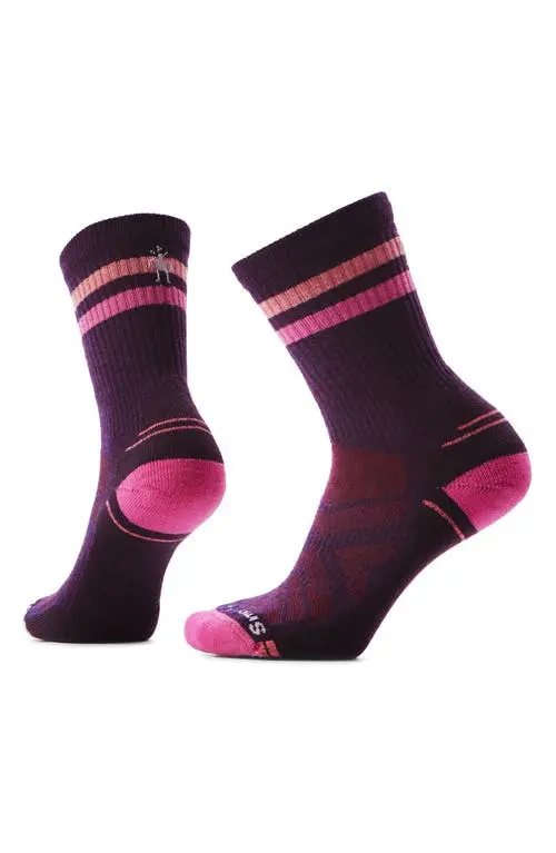 Smartwool Hike Light Cushion Tube Crew Socks - Purple Iris
