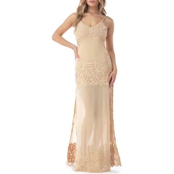 SKY Embroidered Lace Detail Mesh Maxi Dress