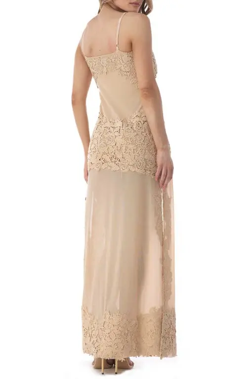 SKY Embroidered Lace Detail Mesh Maxi Dress