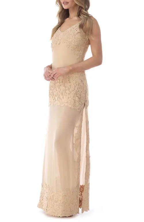 SKY Embroidered Lace Detail Mesh Maxi Dress