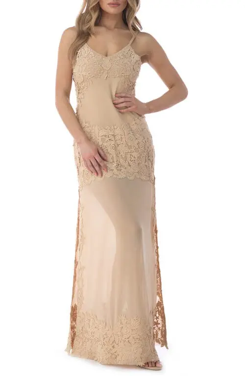 SKY Embroidered Lace Detail Mesh Maxi Dress