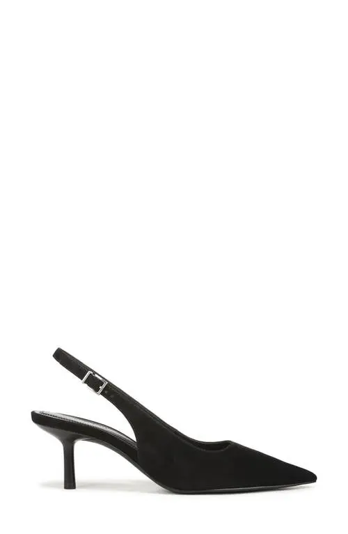 Nordstrom Liza Pointed Toe Pump - Black Suede