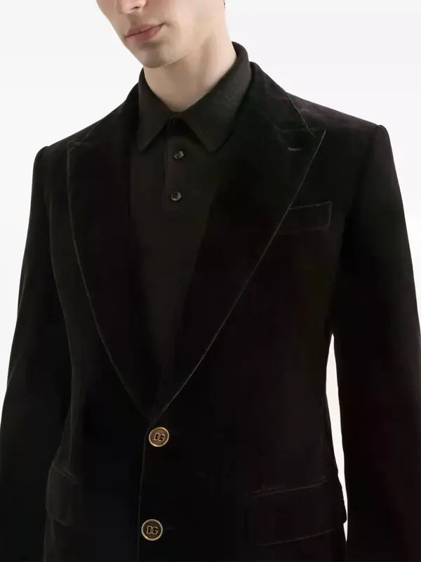 Dolce & Gabbana Velvet Gold-button Blazer - Brown