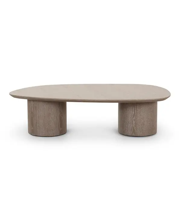 TOV FURNITURE Rhema Oblong Coffee Table - Washed Ash