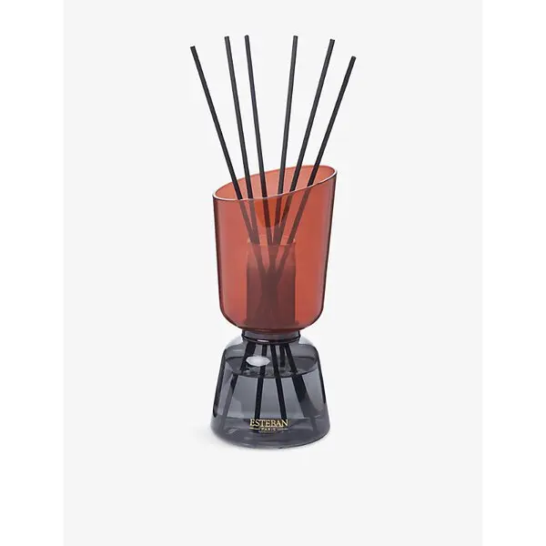 ESTEBAN Teck Et Tonka Bouquet Scented Diffuser Set - One-color