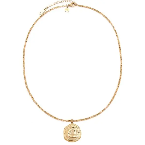 PETIT MOMENTS Horoscope Charm Pendant Necklace - Goldisces