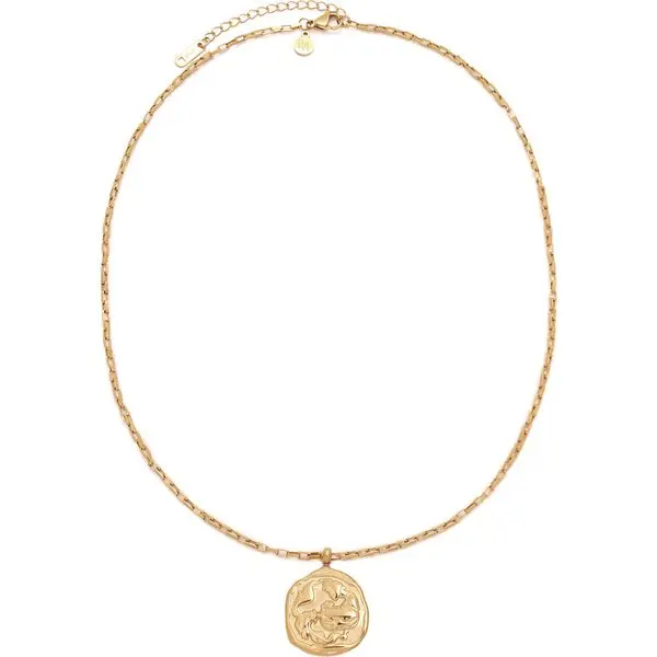 PETIT MOMENTS Horoscope Charm Pendant Necklace - Goldquarius