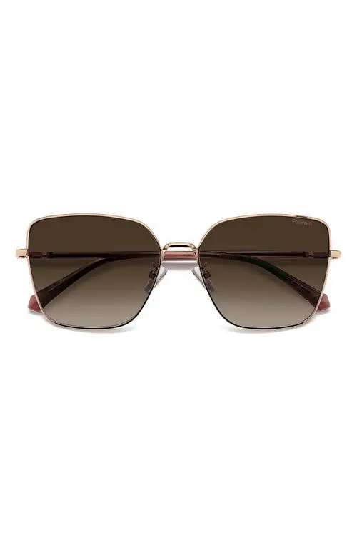 POLAROID 59mm Polarized Butterfly Sunglasses - Gold Copper/brown Sf Pz