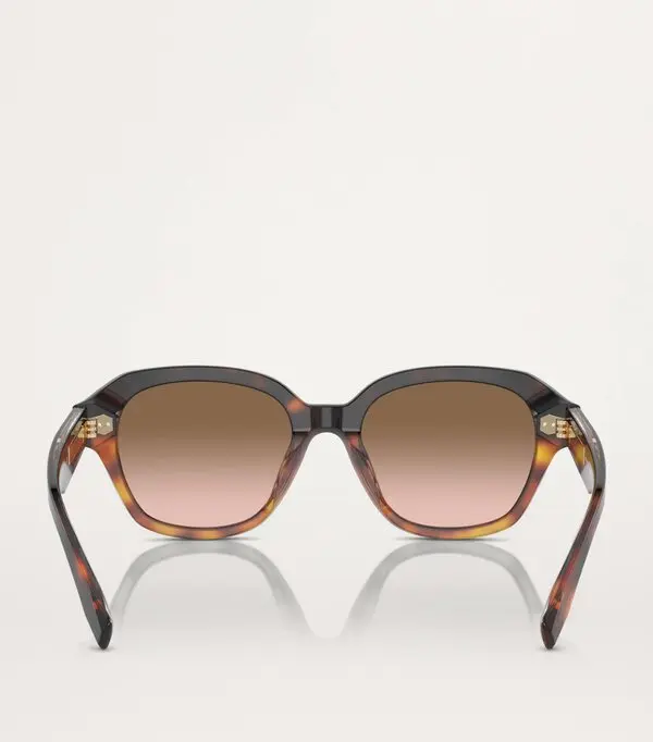 Brunello Cucinelli Bc4004s Sunglasses