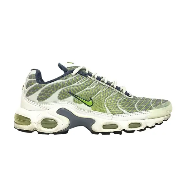 Nike Air Max Plus Sneakers