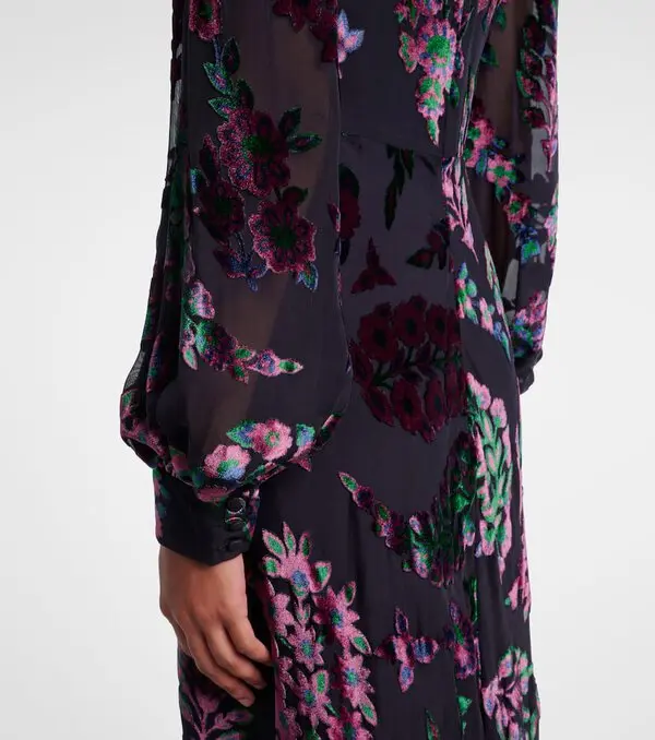 Etro Embroidered Sheer Gown - Multicoloured