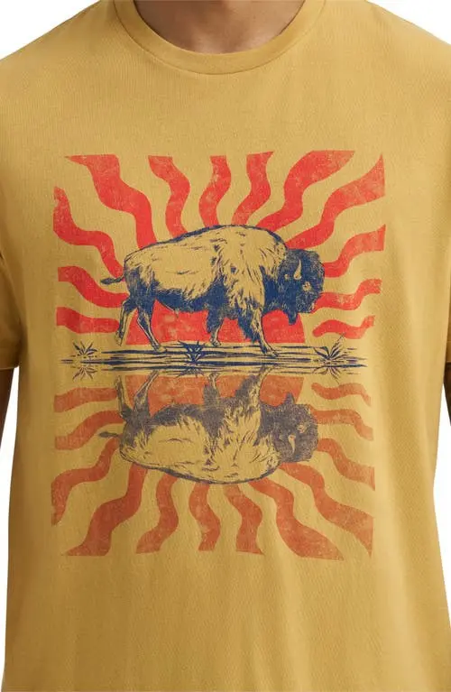 Wrangler Cotton Graphic T-shirt - Pale Gold