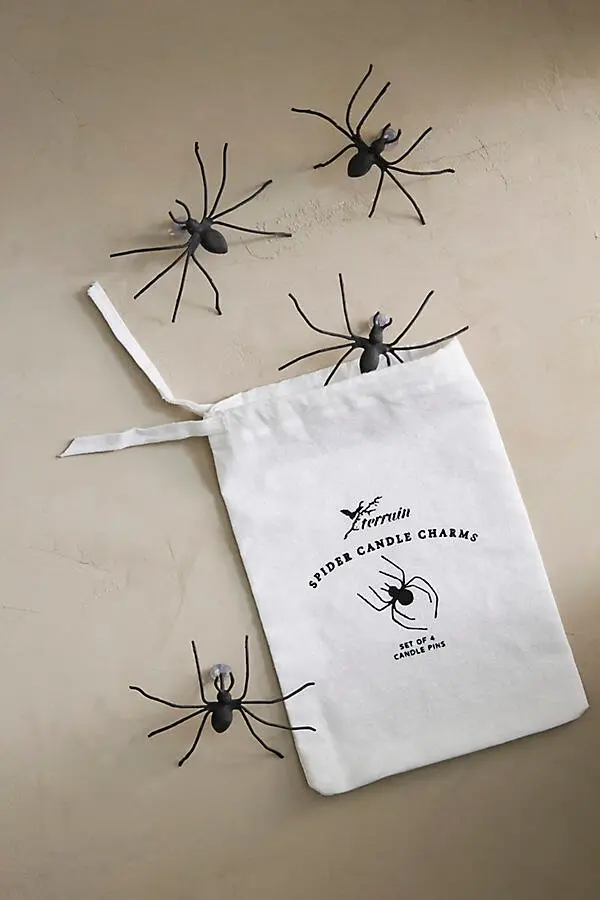 TERRAIN Set Of 4 Spider Candle Pins