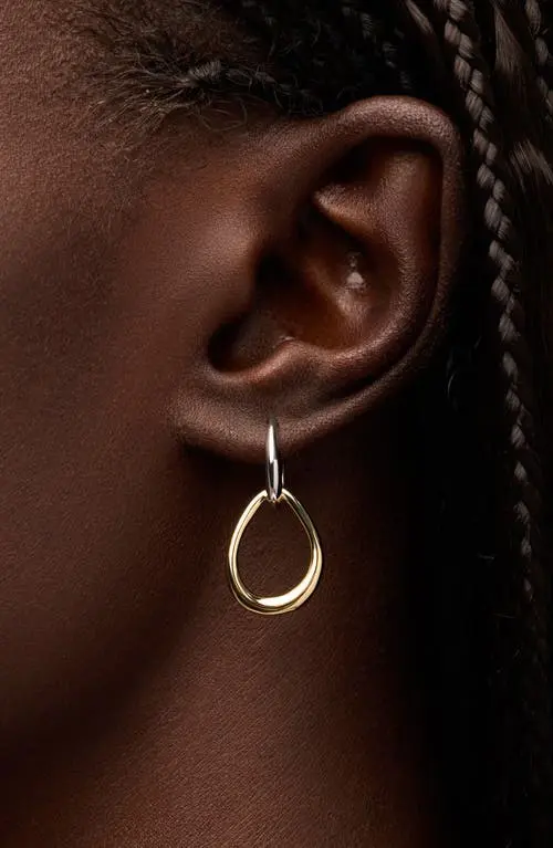 ANA LUISA Gold Plated Drop Earrings - Two Tone
