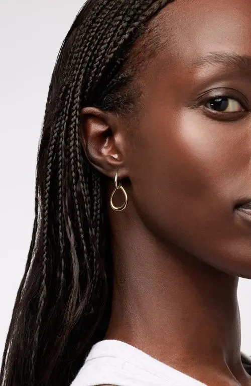 ANA LUISA Gold Plated Drop Earrings - Two Tone