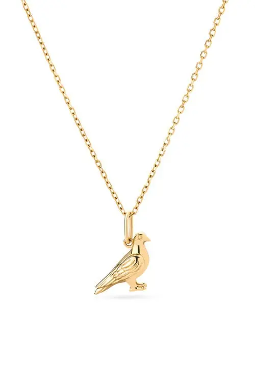 ANA LUISA Pigeon Charm Necklace - Gold
