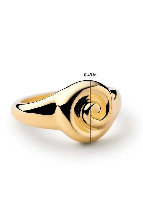 ANA LUISA Ariel Ring