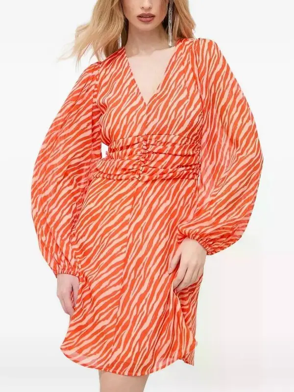 NOTES DU NORD Zebra-print Mini Dress With Button Details