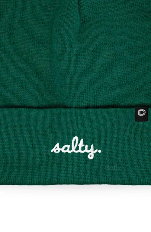 DALIX Salty Beanie Cap - Green