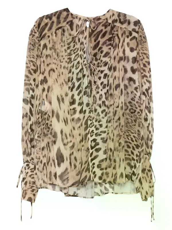 Andamane Leopard-print Blouse