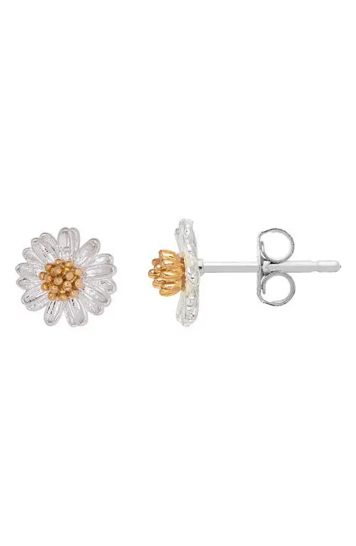 Estée Lauder Mini Wildflower Stud Earrings