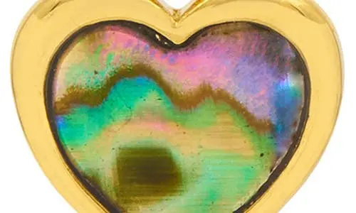 Estée Lauder Abalone Heart Charm Necklace