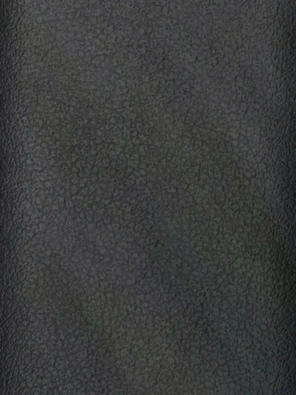 Roberto Cavalli Leopard-print Belt