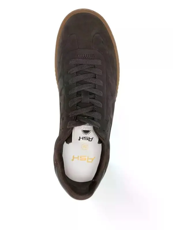 Ash Siena Suede Sneakers