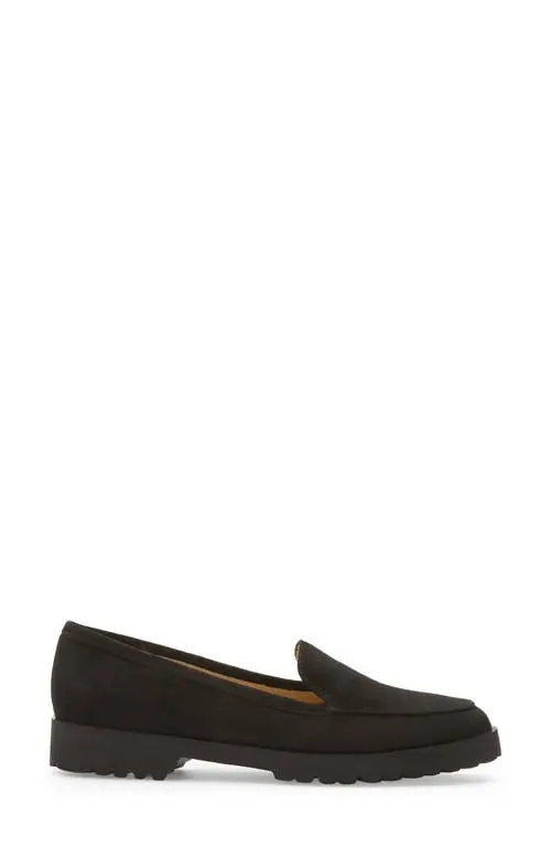 ANDREA CARRANO Carro Loafers - Black Suede