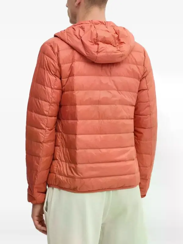 EA7 Hooded Quilted Jacket