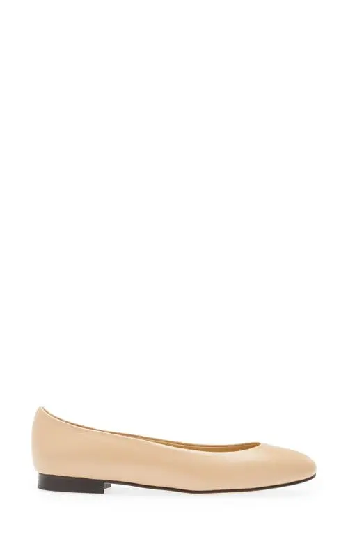 ANDREA CARRANO Baby Ballet Flat - Camel Leather