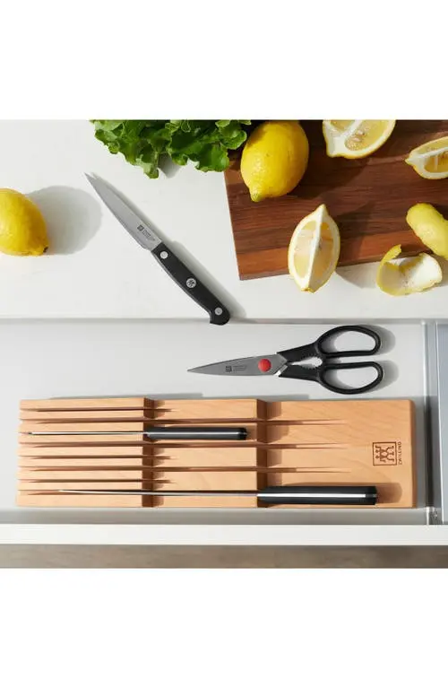 ZWILLING In Drawer Knife Organizer