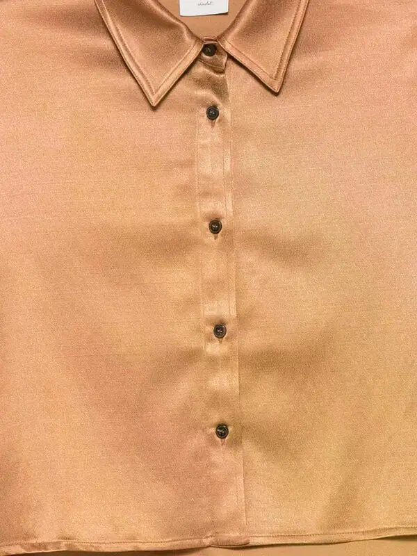 ALYSI Long-sleeves Cropped Shirt - Brown