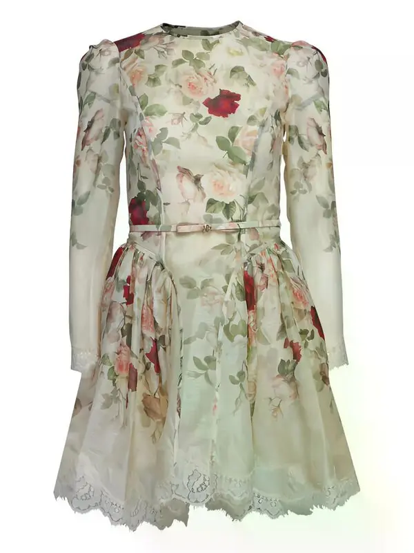 Zimmermann Story Floral Lace-trimmed Mini Dress - Neutrals