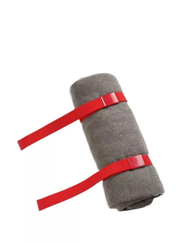 Frenckenberger Fold-up Cashmere Blanket