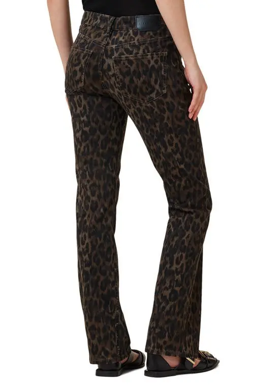ALLSAINTS Haldan Leopard Print Bootcut Jeans