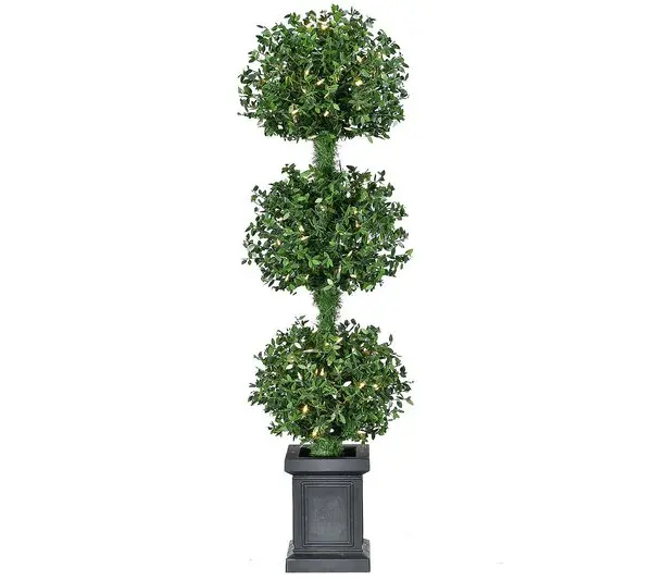 FRASER HILL FARM All Season 4-ft. Boxwood 3-bal L Topiary - One-color