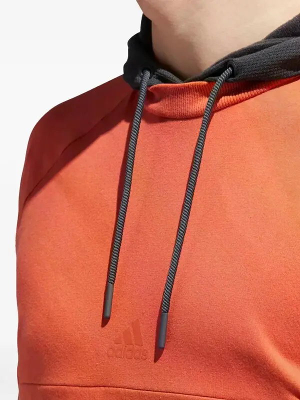 Adidas Athletics Sport 2 Hoodie