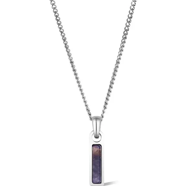 VINCERO Birthstone Tag Pendant Necklace - Silver/february/amethyst